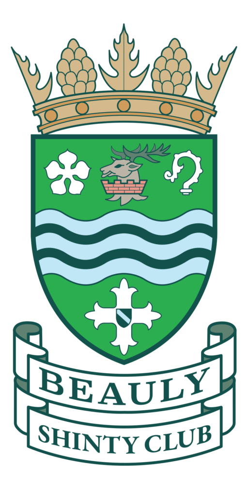 Latest Results and Fixtures - Shinty.com