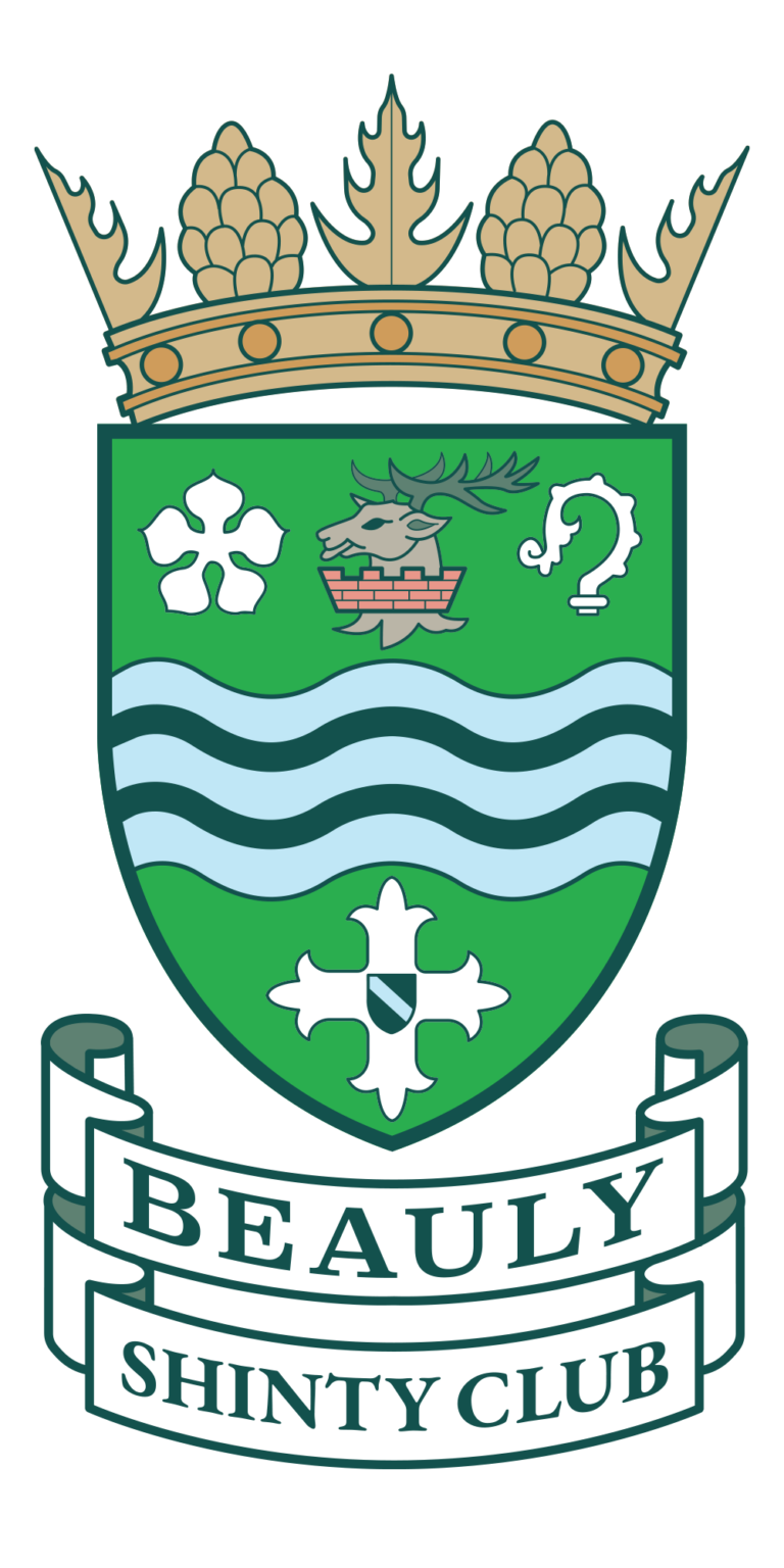 Artemis Macaulay Cup 2025 - Shinty.com