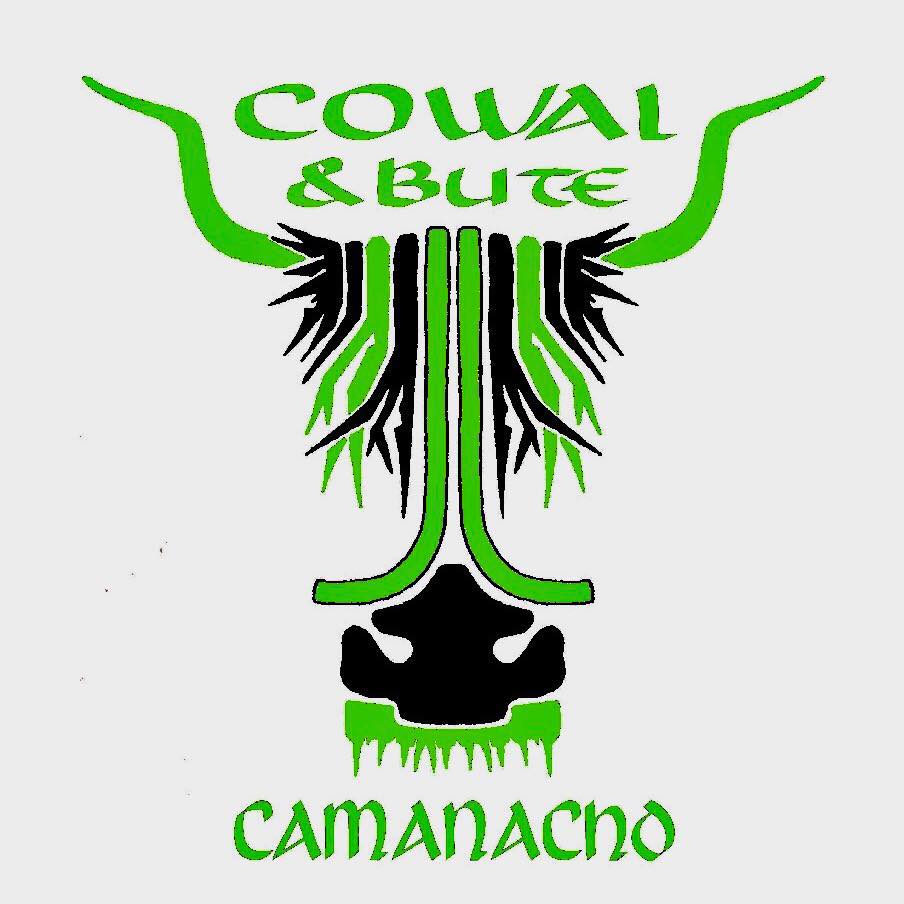 Cowal & Bute Ladies - Shinty.com